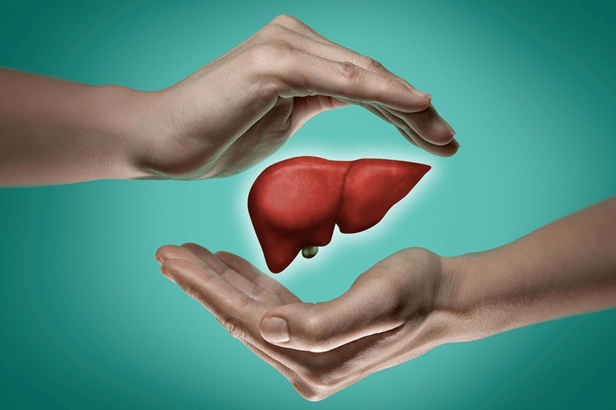 Can livers regenerate after 30 day detox? See the results - The Liver ...